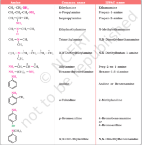 Amines NCERT PDF – Class 12 Chemistry Notes, Reactions, and Preparation ...